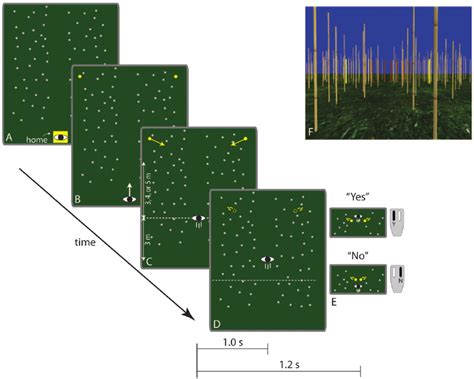 Sequence Of Events In Experiments 1 AE Sequence Of Events On Each Download Scientific