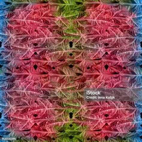 수채화 배경에 잎 식물 요소가있는 장식 구성 크로톤 원활한 패턴 에코 프린트 인쇄 된 제품 간판 포스터 엽서 포장을 사용하십시오