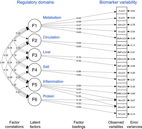 Path Diagram For The Six Factor Cfa Model The Model Illustrates The Download Scientific