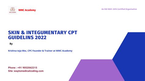 Surgery Skin And Integumentary Cpt Guidelines 10 000 Series