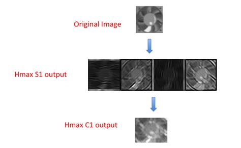 Face Detection Application Download Scientific Diagram