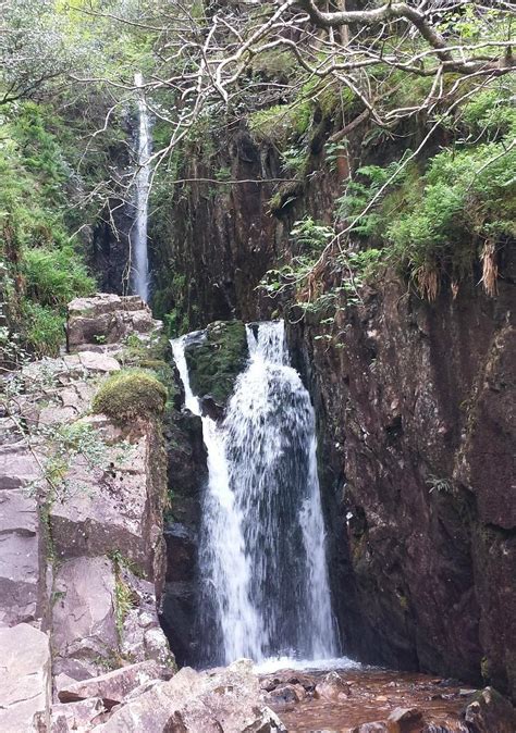 Scale Force Qué Saber Antes De Ir Actualizado 2024