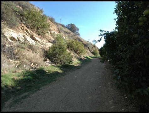 Shelf Road Trail Goop