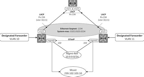 The Network Times Evpn Esi Multihoming Part I Evpn Ethernet Segment Es