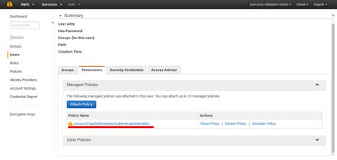 Amazon Web Services Amazoncognitoidentity Accessdeniedexception