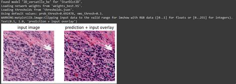 trying to apply stardist python on low resolution small images 256x256 with pretrained 2d