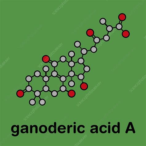 Ganoderic Acid A Molecule Illustration Stock Image F0305683