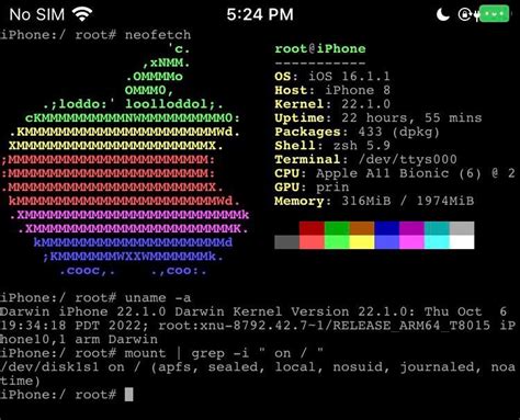Developer Behind Palera N Jailbreak Shows Off Tweak Injection Kernel Read Write On Iphone