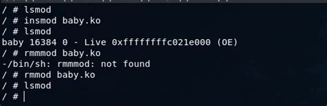 Linux Kernel Exploit Sir