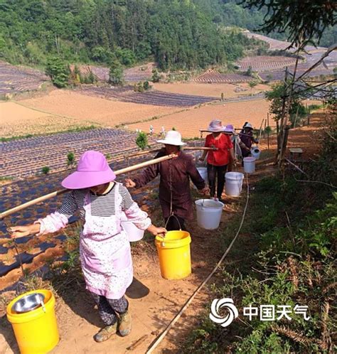 高温干旱驻云南 43站重旱10站特旱 图片频道