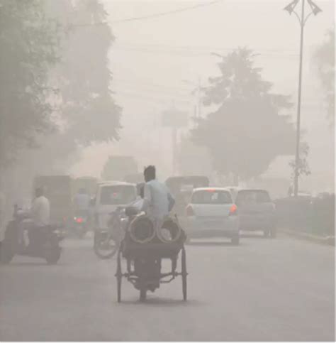 Pollution And Preservation For The First Three Years Of My Life I By Ahana Jhamb Medium