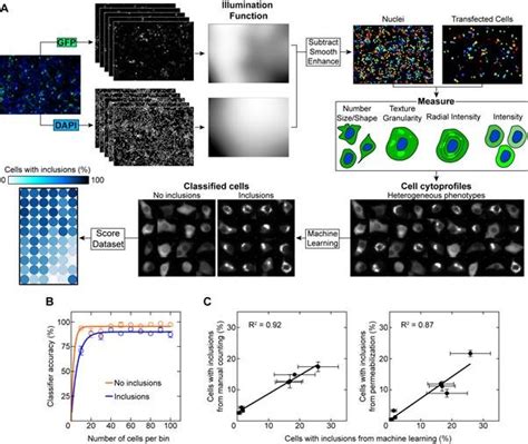 User Assisted Machine Learning To Determine Cells Containing Download Scientific Diagram