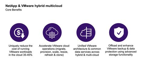 consistent operations with netapp and vmware netapp community