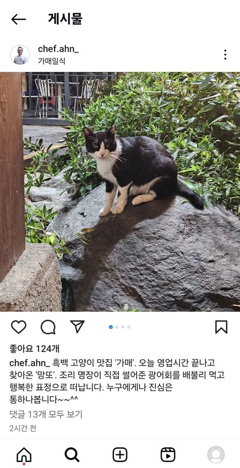 흑백요리사 안유성 명장 인스타 첫피드 인스티즈 Instiz 이슈 카테고리