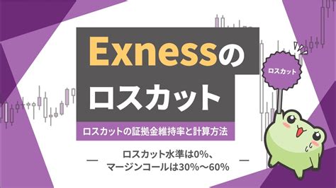 Exnessのロスカットとマージンコールロスカットの計算方法 YouTube