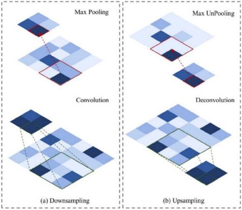 Upsampling And Downsampling Operations Download Scientific Diagram
