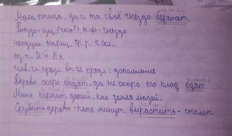 3 Объясни смысл пословиц Спиши их вставляя пропущенные буквы Определи вид глаголов 1 Д