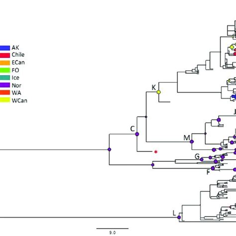 Bayesian Coalescent Phylogeny Of 330 S1 Sequences Circles At Nodes Are