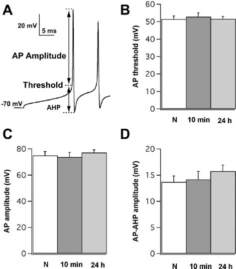 AP Threshold AP Amplitude And AHP Are Not Significantly Different In Download Scientific