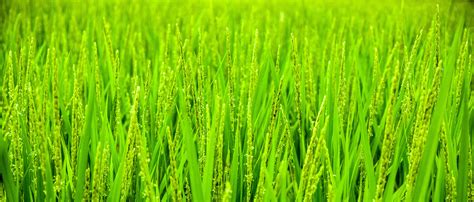 Trek10 Manage Your Aws Greengrass Lambda Functions With Sam