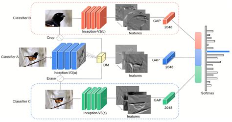 Figure 1 From Fine Grained Image Classification Network Based On Reinforcement And Complementary