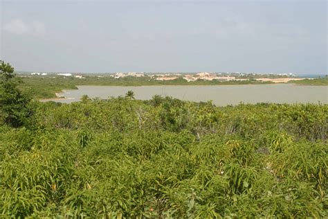 Anguilla Uk Overseas Territories Conservation Forum