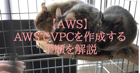 【aws】awsの基本であるawsマネジメントコンソールとは？作業の基本となるコンソールの使いかたを初心者向けに解説 Hachi System