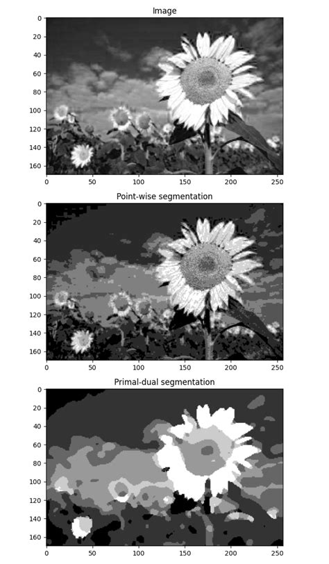 Image Segmentation — Pyproximal