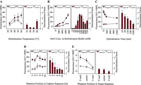 Optimization Of Hybridization Conditions Influence Of A