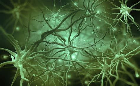 Neural Networks Of The Human Brain 3d Illustration Of Abstract Nerve