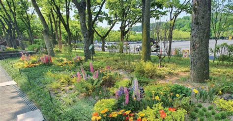 서울 곳곳 채우는 매력·동행가든…일상 속 도심정원