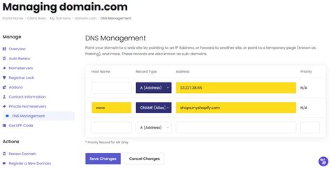Connect Domain With Shopify Dns Thebeehost Knowledge Base