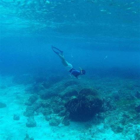 우리끼리 떠나는 보홀 발리카삭 호핑 투어