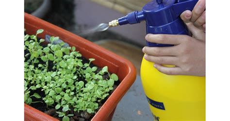 ВАП нареди проверка за неразрешени препарати за растителна защита