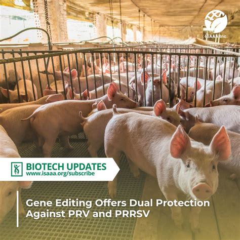 A Research Team From Northwest Aandf University And Partners Examined The Effectiveness Of A