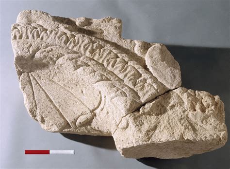 Sculpted Shell Canopy 95745 95801 © Historic England Download