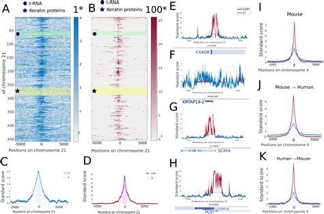 Genome Annotation Across Species Using Deep Convolutional Neural