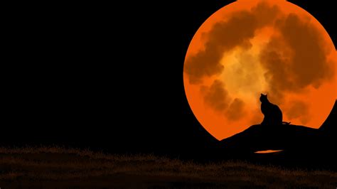 배경 화면 People In Nature 구름 잔광 Flash Photography Natural Landscape 천체 열 아침에 붉은 하늘 해돋이