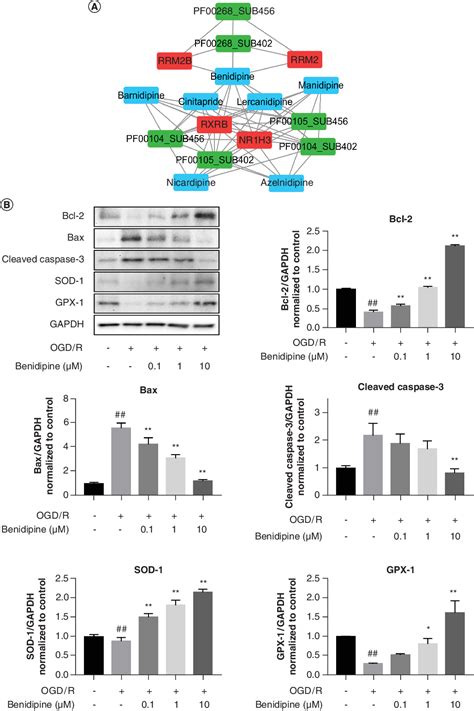 Figure 1 From Computational Drug Repositioning For Ischemic Stroke