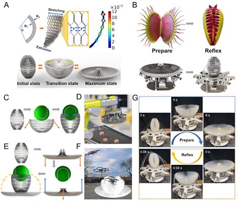Iii Bio Inspired Soft Robotic Grippers And Manipulators Xingwen Zheng Research Groupzhejiang