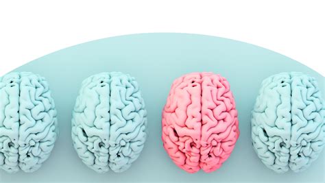 What Is Functional Neurology Neurofit Brain Centre