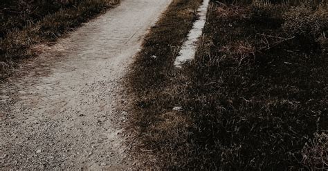 Xiaomi Redmi 4x Sample Shots