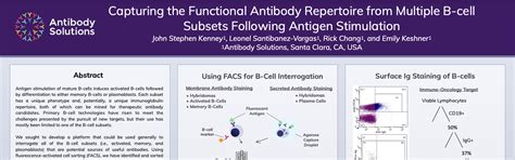 Capturing The Functional Antibody Repertoire From Multiple B Cell Subsets Following Antigen