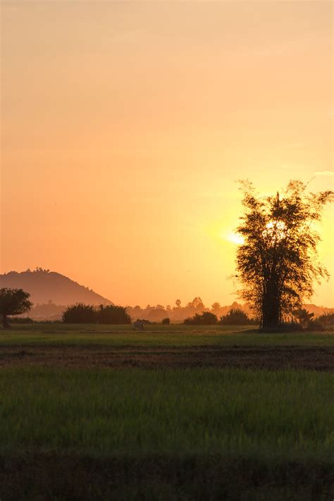 6 Dynamic And Diffuse Daylight Rootedinnature