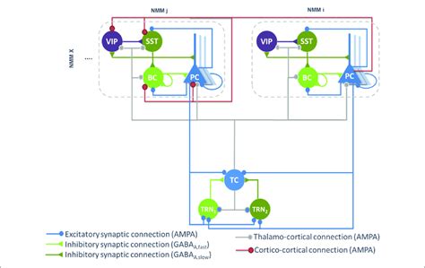Large Scale Architecture Of The Model Illustration Of The Synaptic Download Scientific