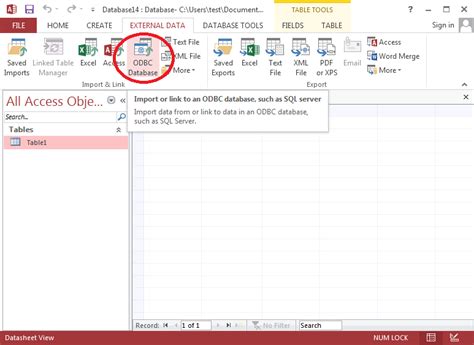 How To Retrieve Data From Dynamics 365 To Ms Access Using Odbc Devart Blog