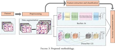 Figure 1 From Iomt Based Automated Detection And Classification Of Leukemia Using Deep Learning