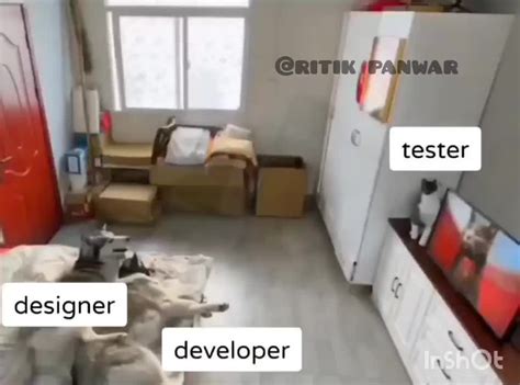 Delwer Hossain On Linkedin Tester Developer 🙂