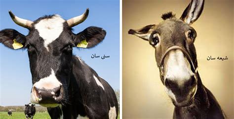 بالاترین سکس محمد با خاله خود