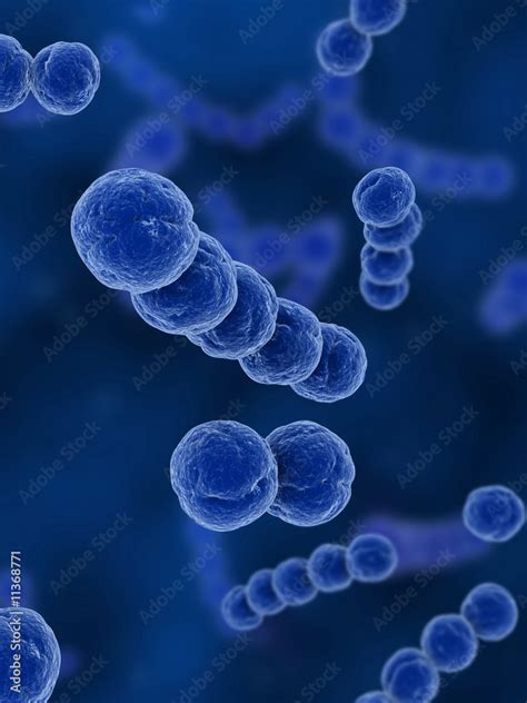 Streptococcus Stock Illustration Adobe Stock